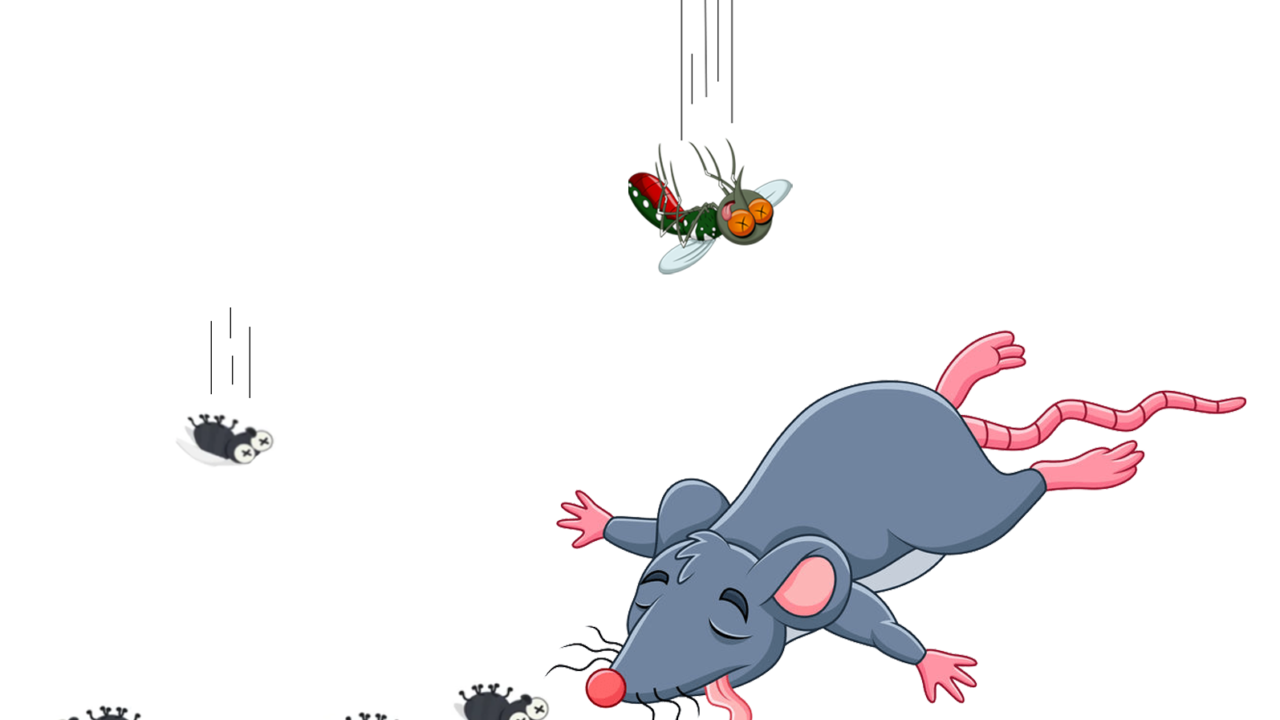 Pest Management Services | About Us | Critter Control